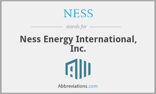 What does NESS stand for?