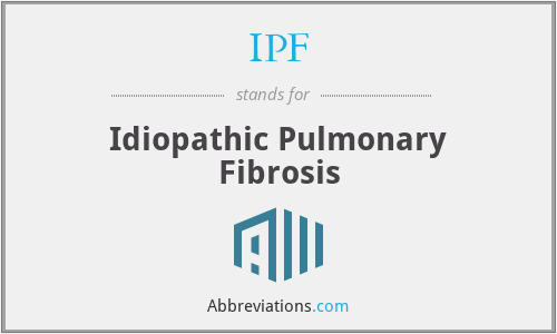What does IPF stand for?