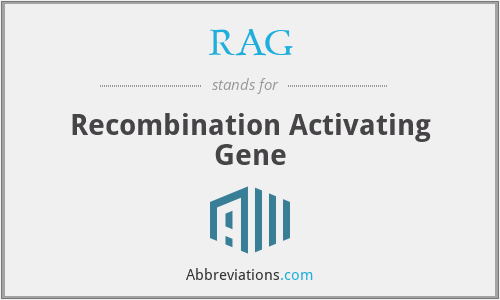 What does RAG stand for?