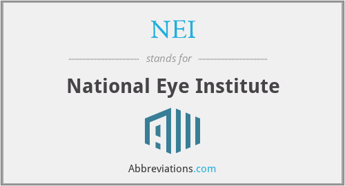 What does NEI stand for?