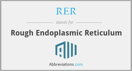 What does RER stand for?