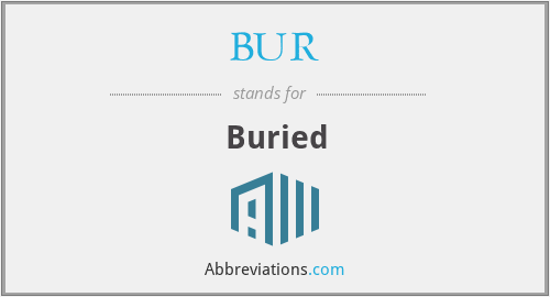 What does BUR stand for?