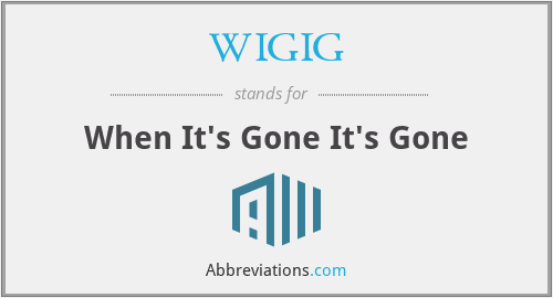 What does WIGIG stand for?