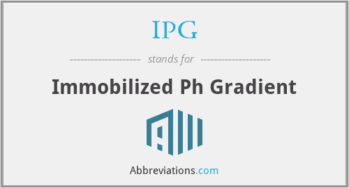 What does IPG stand for?
