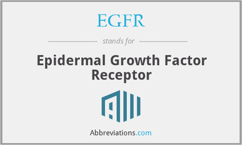 What does EGFR stand for?