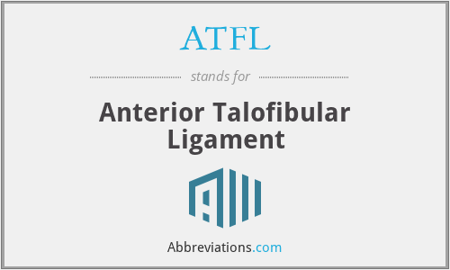 ATFL - Anterior Talofibular Ligament