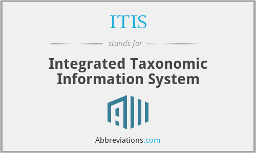What does ITIS stand for?