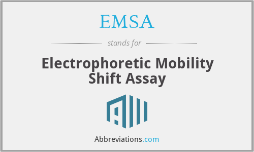 What does EMSA stand for?