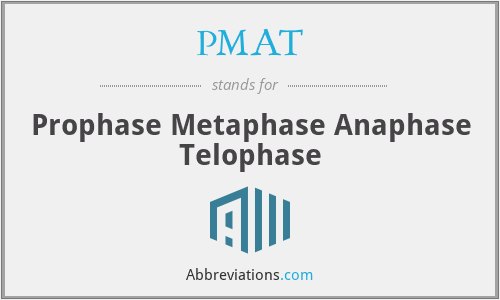 What does PMAT stand for?