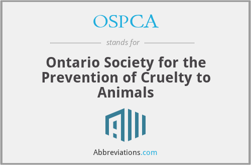 What does OSPCA stand for?