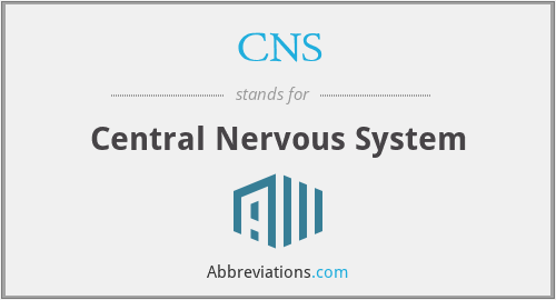 What does CNS stand for?