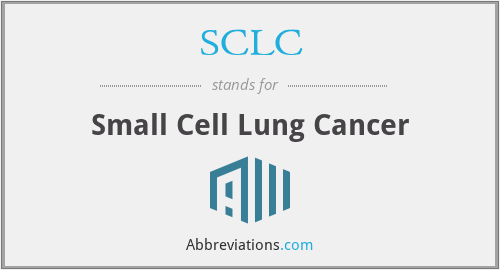 What does SCLC stand for?