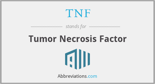 What does TNF stand for?