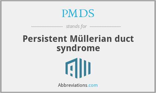 PMDS - Persistent Müllerian duct syndrome