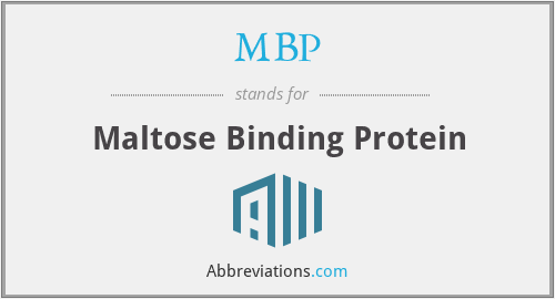 What does MBP stand for?