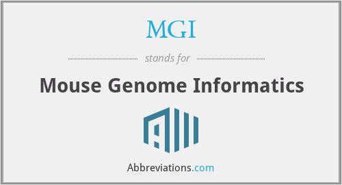 What does MGI stand for?