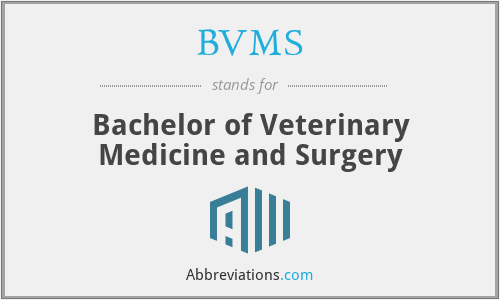What does BVMS stand for?