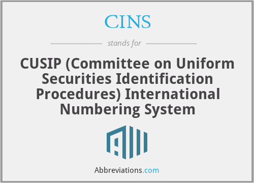 What does CINS stand for?