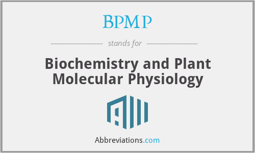 What does BPMP stand for?