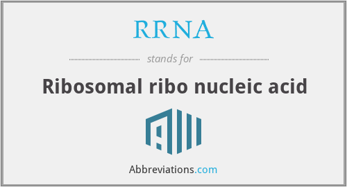 What does RRNA stand for?