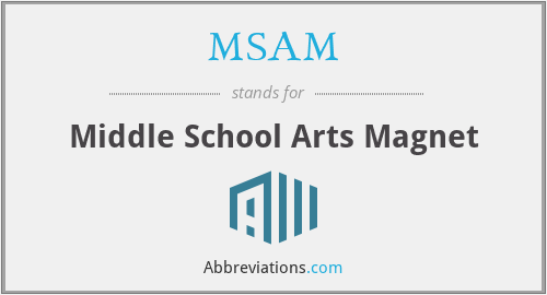 What does MSAM stand for?