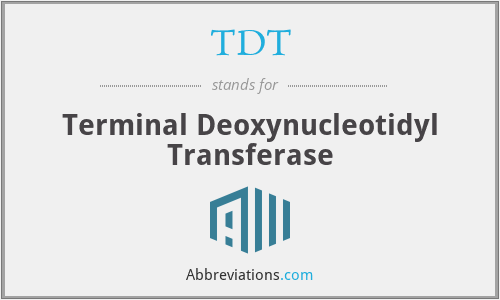 What does TDT stand for?