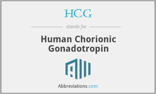 What does HCG stand for?