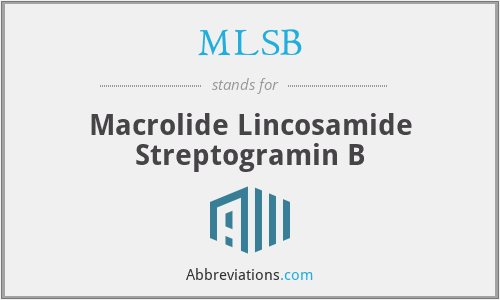 What does MLSB stand for?