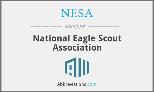 What does NESA stand for?