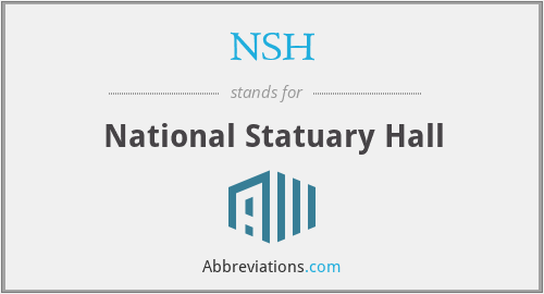 What does NSH stand for?