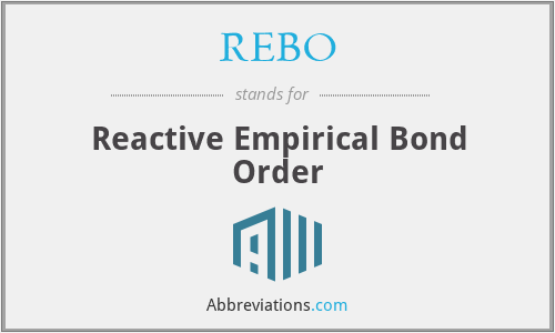 What does REBO stand for?