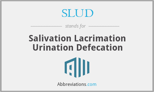 What does SLUD stand for?