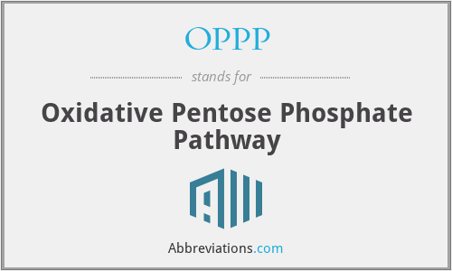 What does OPPP stand for?