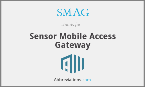 What does SMAG stand for?