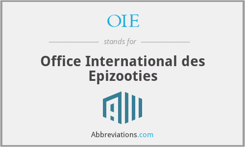 What does OIE stand for?