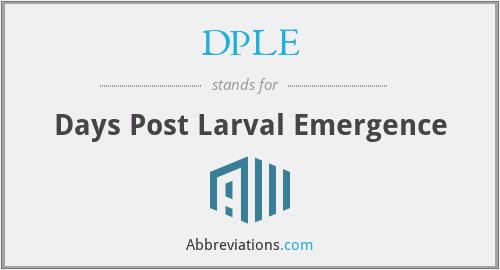 What does DPLE stand for?