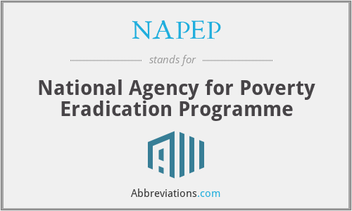 What does NAPEP stand for?