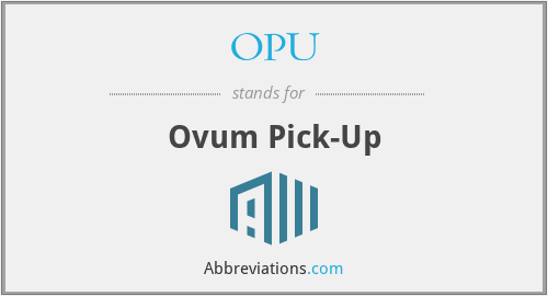 What does OPU stand for?