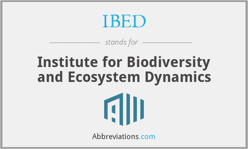 What does IBED stand for?