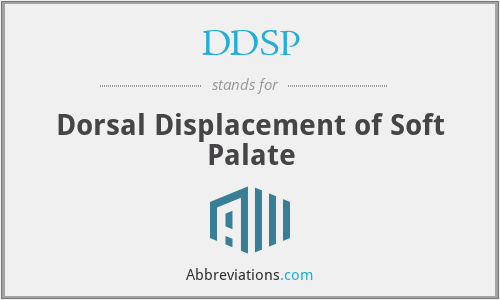 What does DDSP stand for?