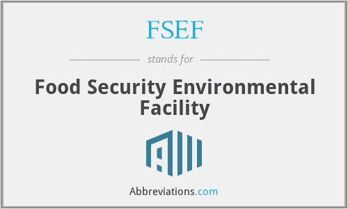 What does FSEF stand for?