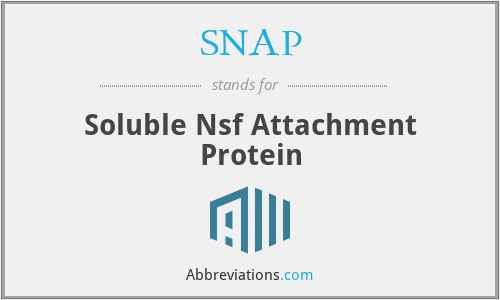 What does SNAP stand for?