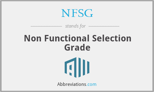 What does NFSG stand for?