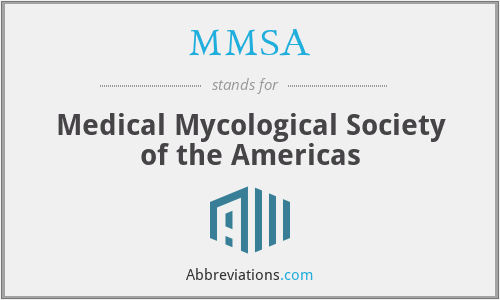 What does MMSA stand for?