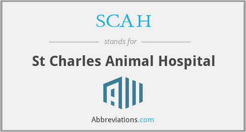 What does SCAH stand for?