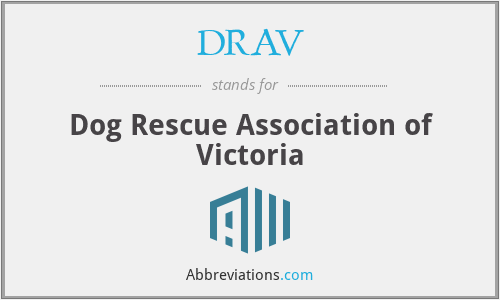 What does DRAV stand for?