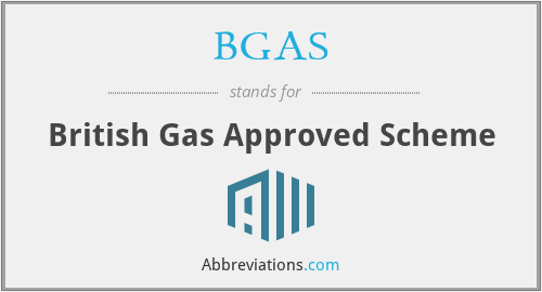 What does BGAS stand for?