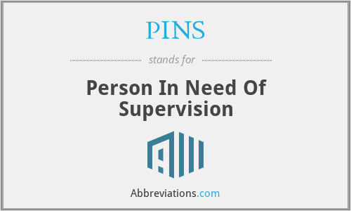 What does PINS stand for?