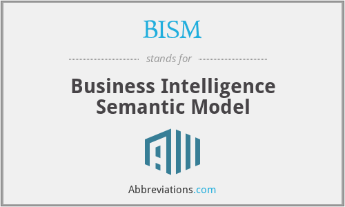 What does BISM stand for?