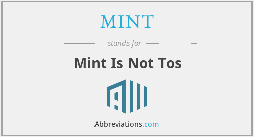 What does MINT stand for?